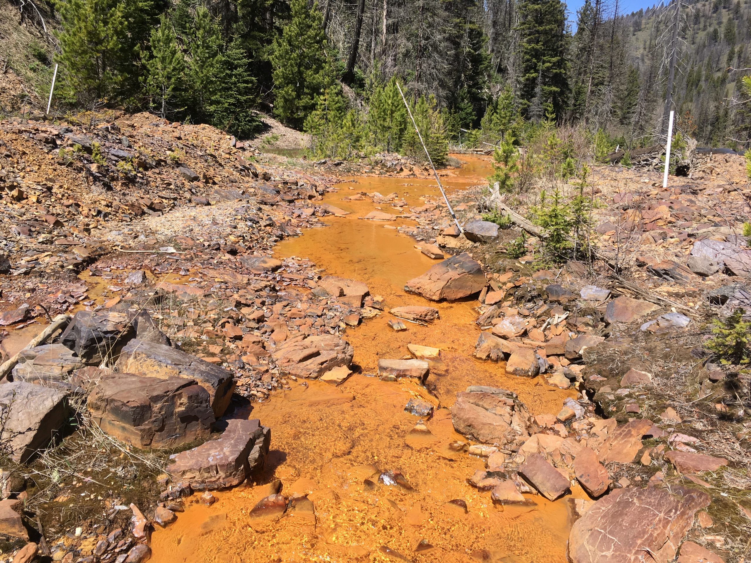 Tribes, Indigenous Groups, Conservation Organizations File Petition to ...