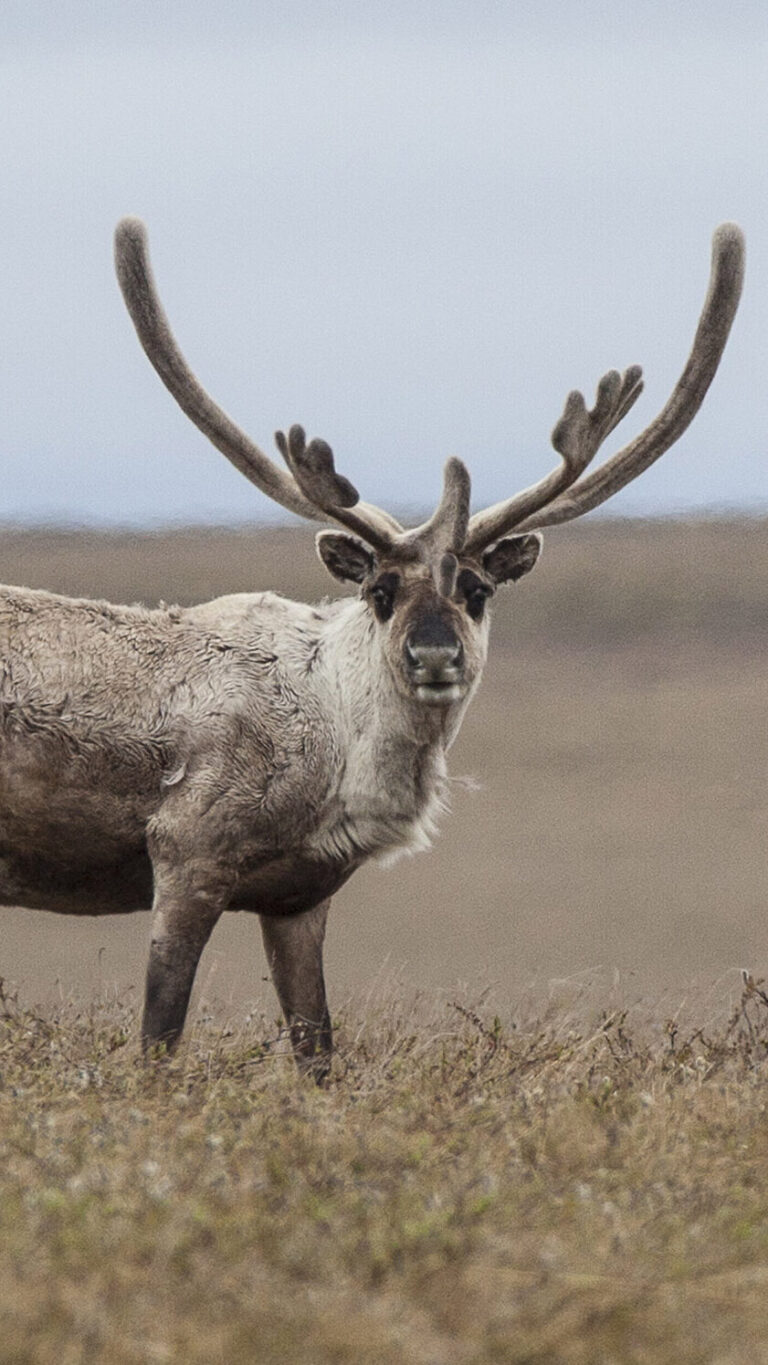 Earthworks 2024 Impact Report - Earthworks